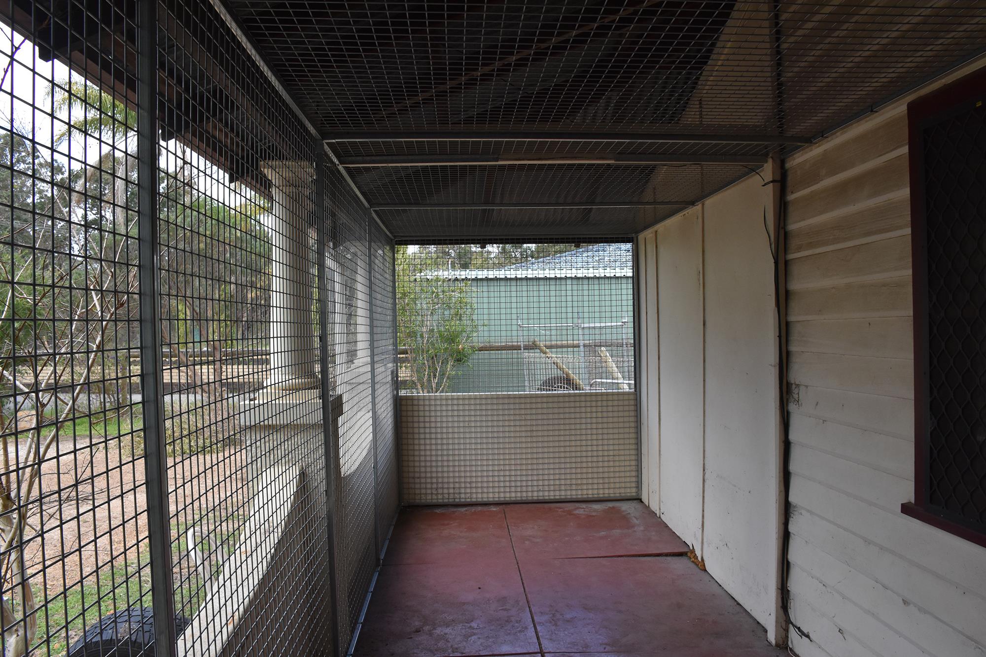 Galvanised mesh enclosure in Mundijong. - Cat Enclosures Perth
