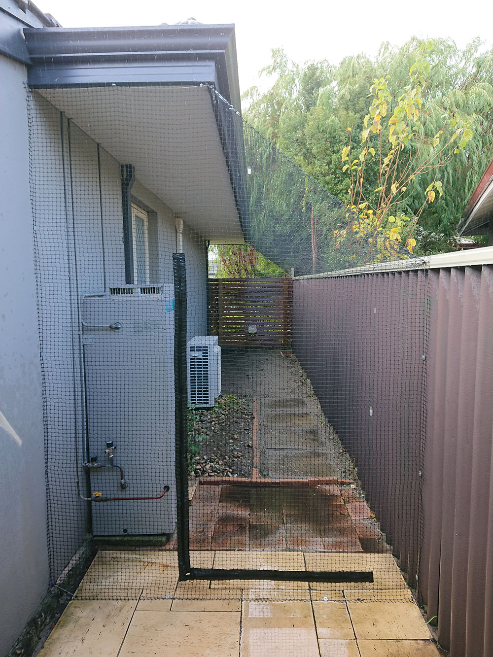 Cat Net Enclosure In Morley - Cat Enclosures Perth
