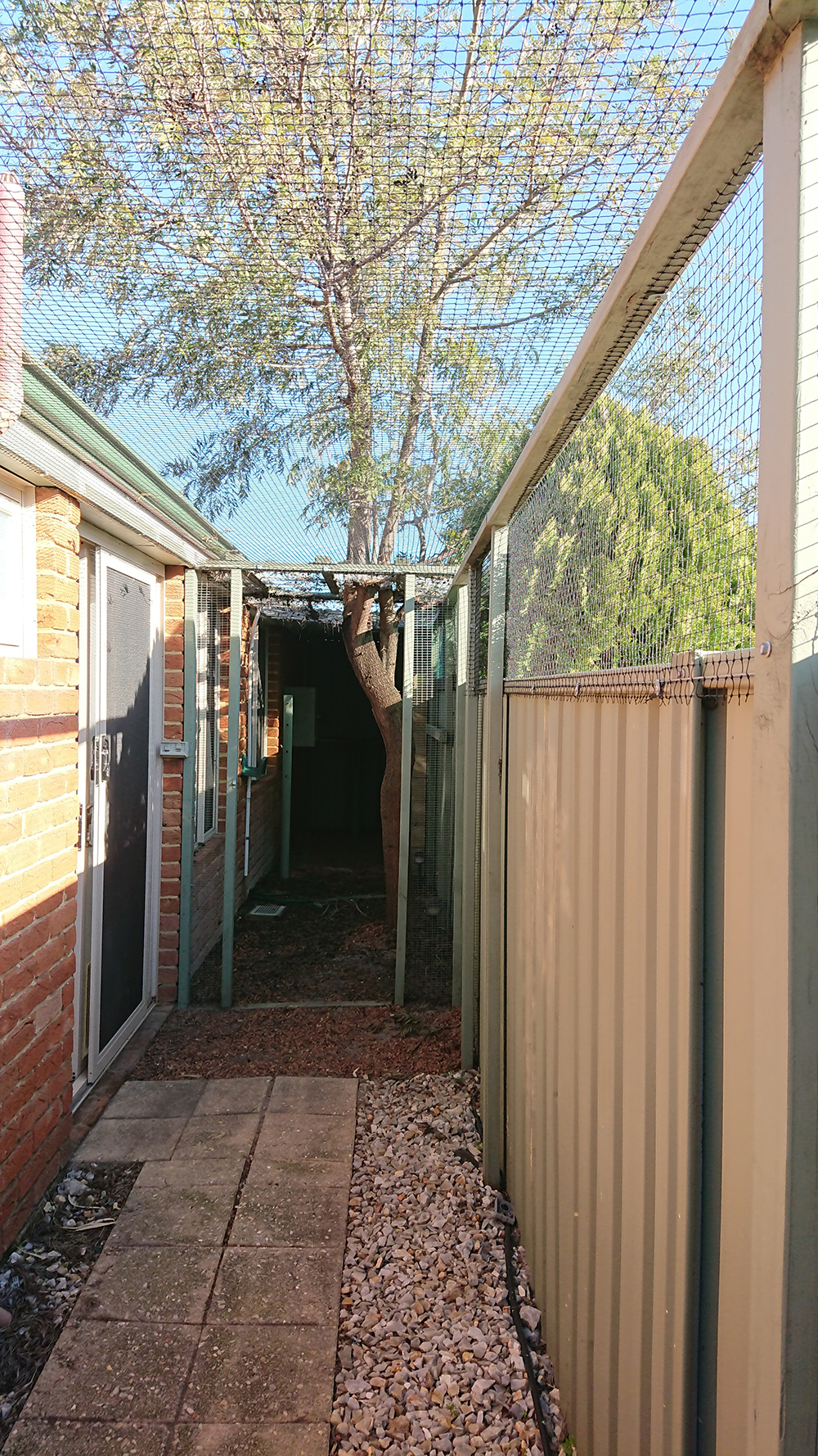 Cat Net Enclosure In Atwell - Cat Enclosures Perth