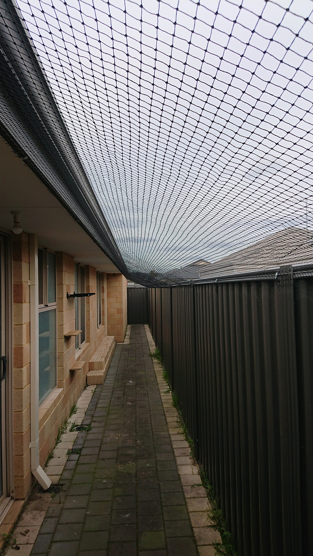 Cat Net Enclosure in Byford - Cat Enclosures Perth