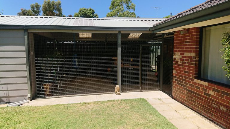 Galvanised mesh enclosure in Willagee - Cat Enclosures Perth