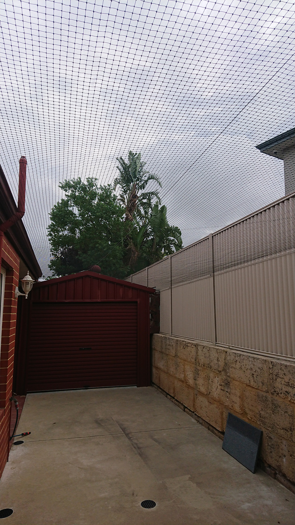 Cat Net Enclosure in Baldivis 01 - Cat Enclosures Perth