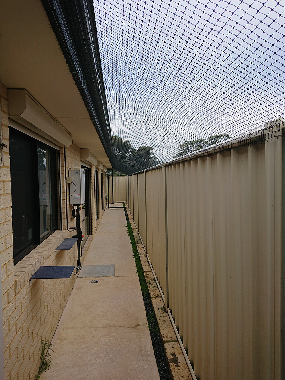 Metal Cat Enclosure In Lakelands - Cat Enclosures Perth
