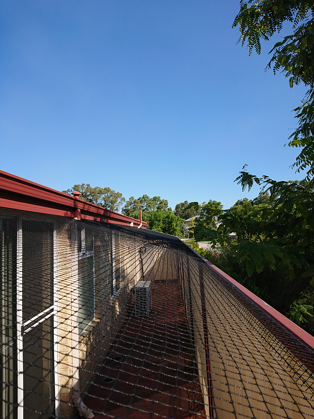Cat Net Enclosure in Baldivis - Cat Enclosures Perth