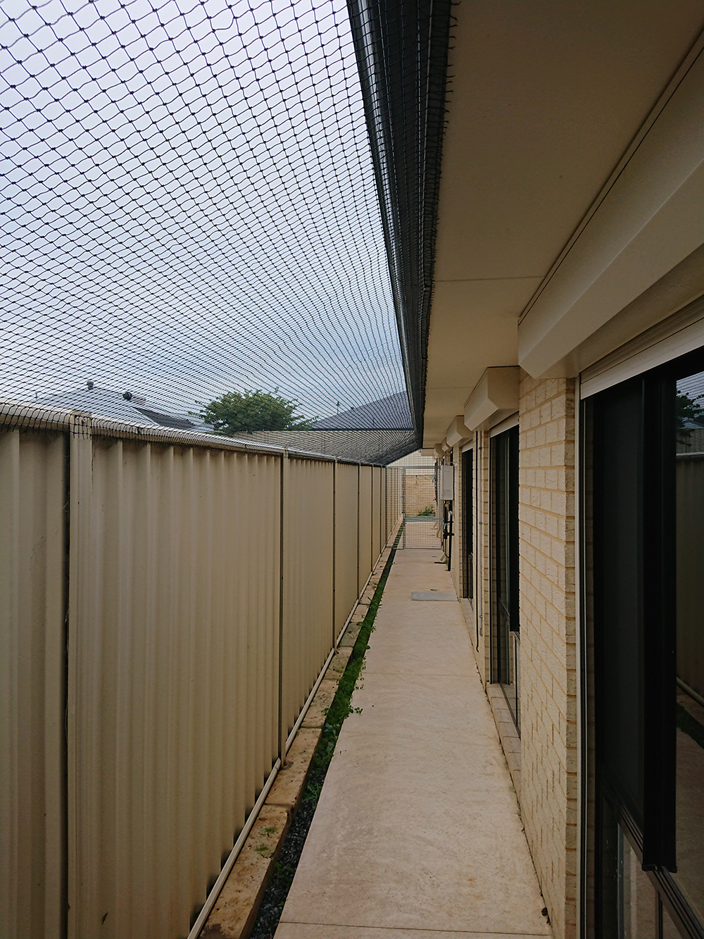 Metal Cat Enclosure In Lakelands - Cat Enclosures Perth