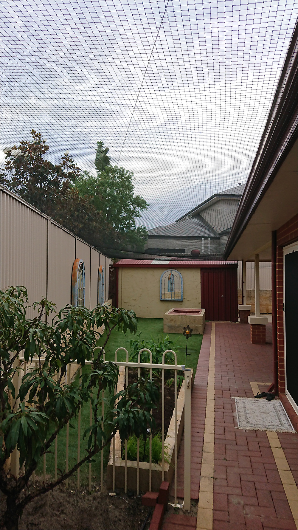 Cat Net Enclosure in Baldivis 01 - Cat Enclosures Perth